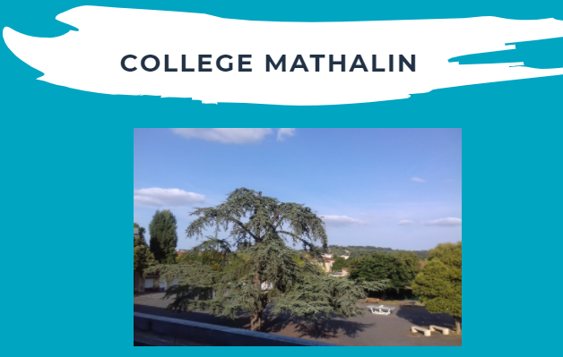 Présentation du collège aux futurs 6èmes - Actualités publiques - COLLEGE MATHALIN